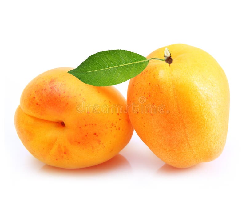 Abricós Isolados Fruto E Parte Inteiros Do Abricó Com a Folha Isolada ...