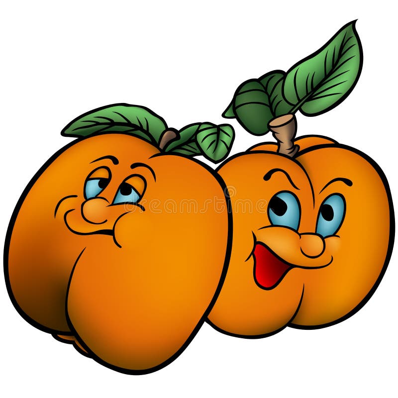 Abricot illustration de vecteur. Illustration du dessin - 78125518