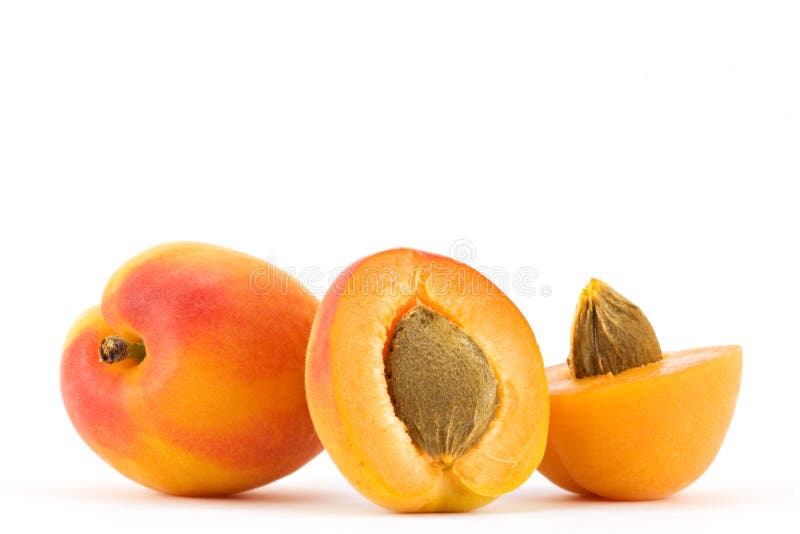 Abricot d'isolement image stock. Image du vivacité, nourriture - 14934737