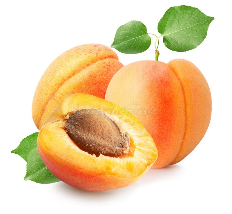Abricots D'isolement Sur Le Fond Blanc Image stock - Image du abricots ...
