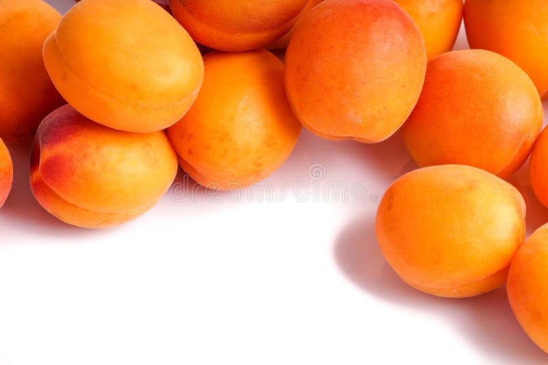 Abricots stock photo. Image of green, antioxidant, apricot - 55224592
