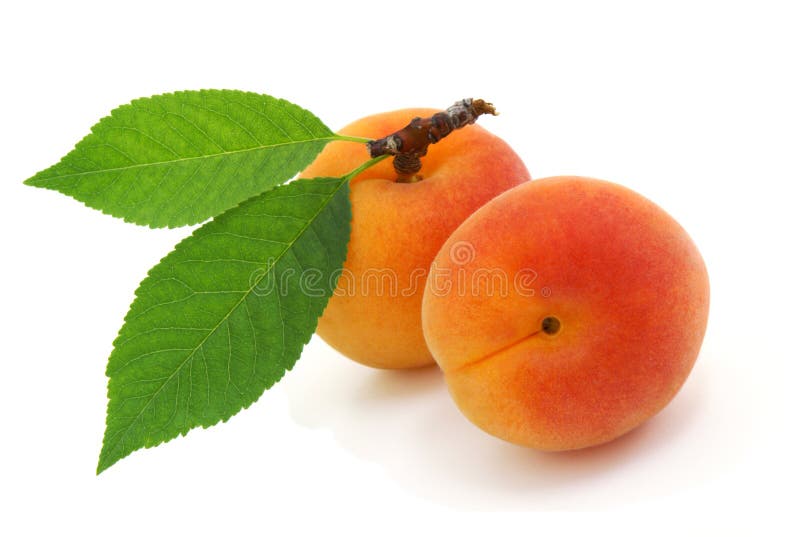 Abrikoos stock foto. Image of groep, rood, nagerecht - 11078328