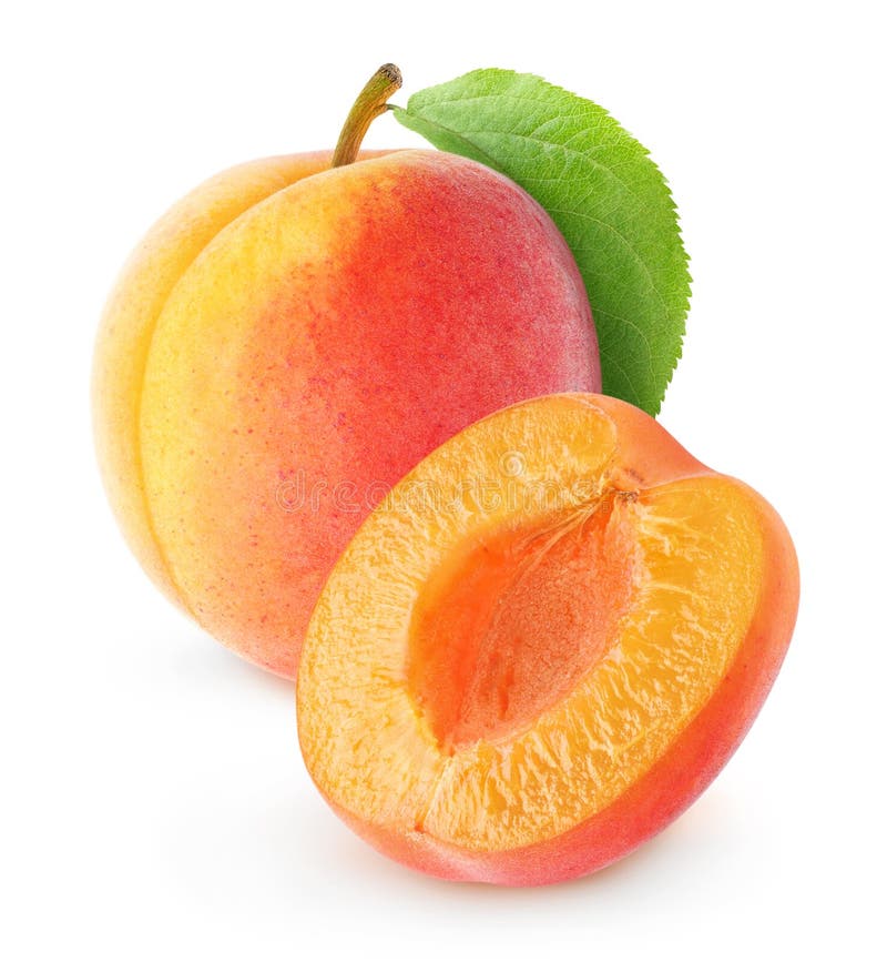 Abrikoos stock foto. Afbeelding bestaande uit sectie - 52050406