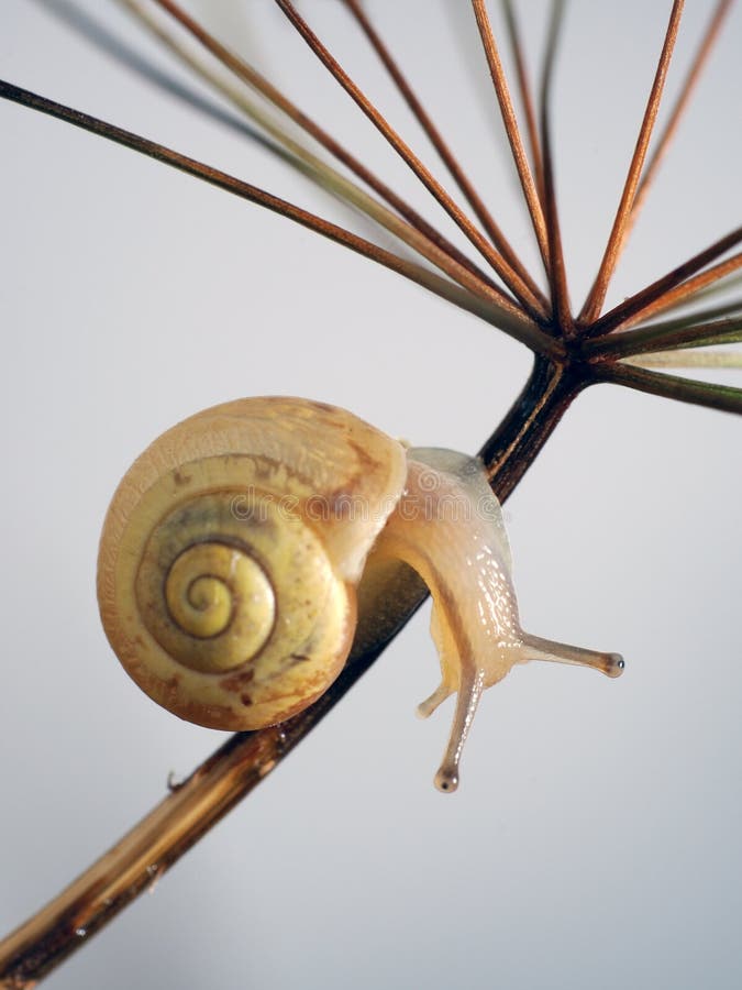 Abrupt turn stock photo. Image of grey, bend, curl, deadlock - 11248738