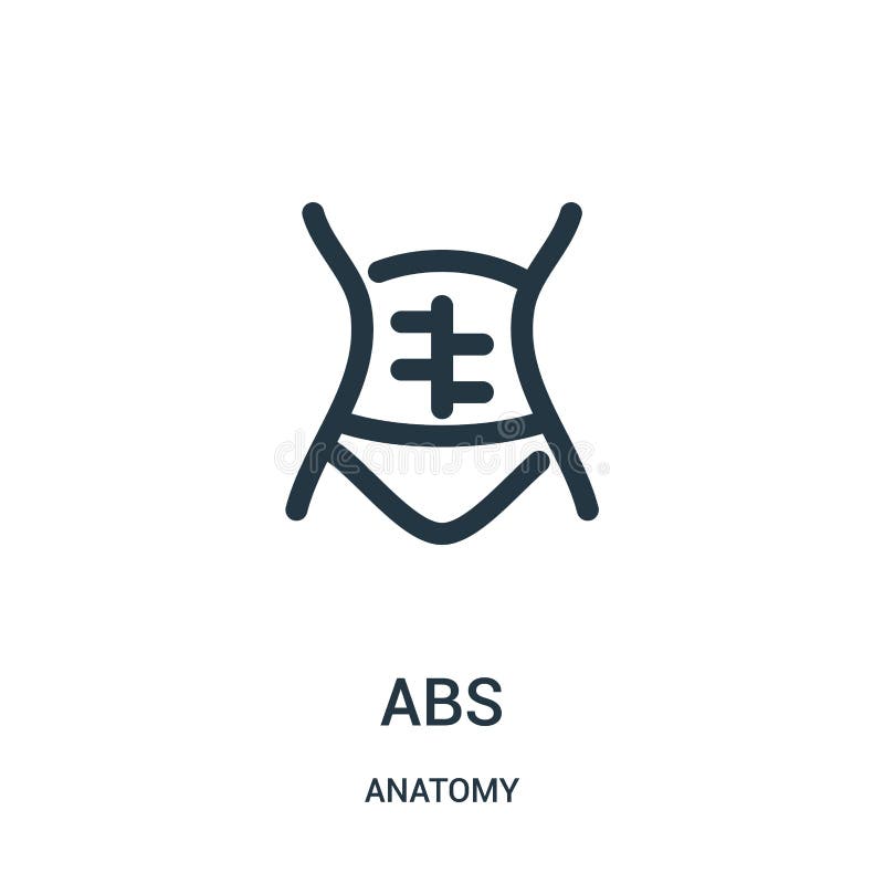 Abdominal Icon Vector from Gym Collection. Thin Line Abdominal Outline ...