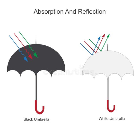 Absorption and Light Reflection Isolated on Black and White Surfaces ...