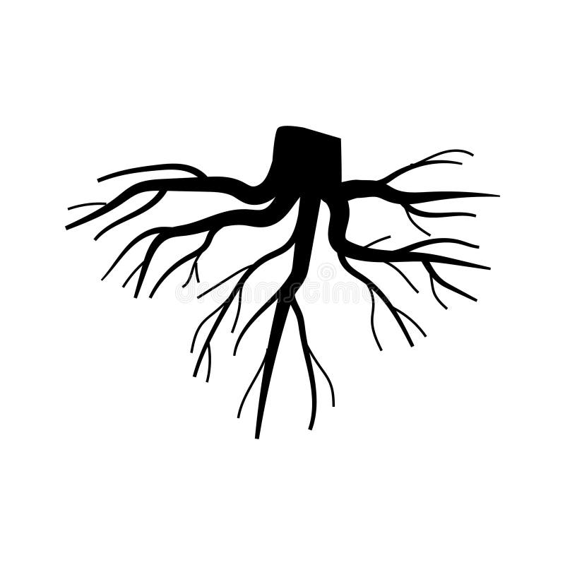 Absorption Tree Root Cartoon Vector Illustration Stock Vector ...