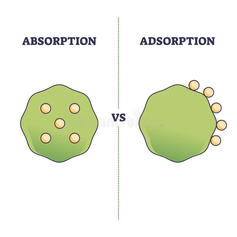 Absorption Vs Adsorption Differences on Molecular Surface Outline ... Absorption Vs Adsorption Differences on Molecular Surface Outline ...