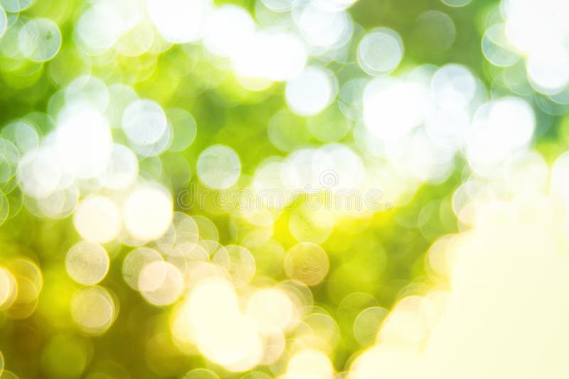 Abstact Defocus Bokeh Light Background Made Of Forest Style. Stock ...