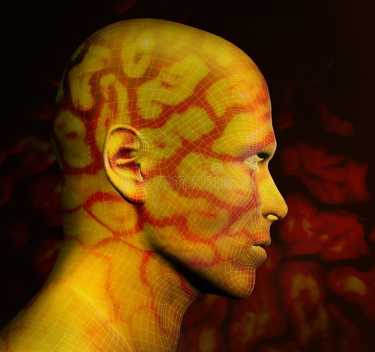 Human Skull Texture Stock Illustrations – 1,678 Human Skull Texture ...