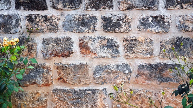 Abstract Abandoned Texturized Grungy Weathered Brick Wall. Web Banner ...