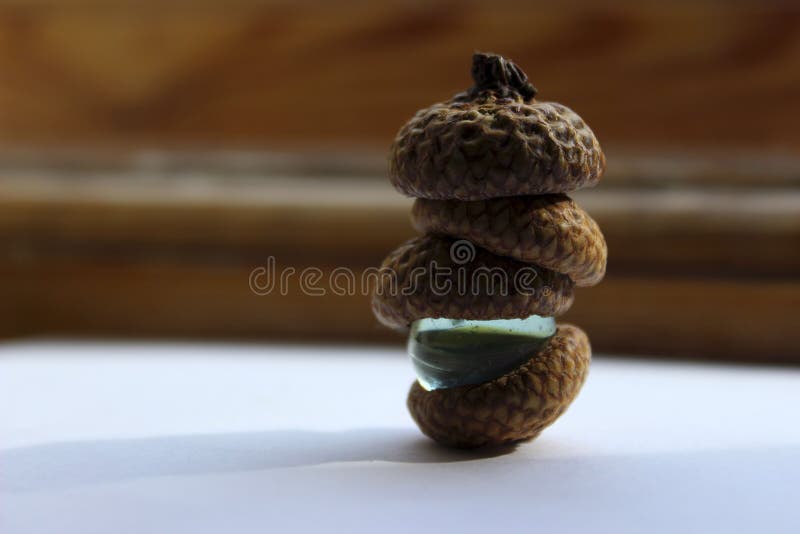 Abstract Acorns Background. Stock Image - Image of four, abstract ...