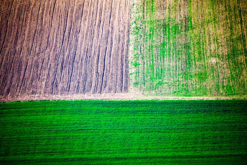 Abstract Aerial View of Agricultural Field in Spring Stock Photo ...