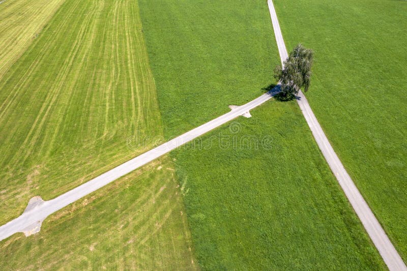 Fork Road in a Field and Tree Stock Photo - Image of land, natural ...