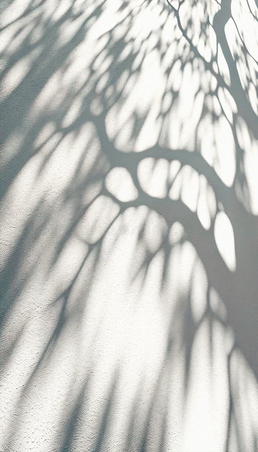Abstract Aesthetic Shadow on White Textured Wall. Elegant Shadow ...
