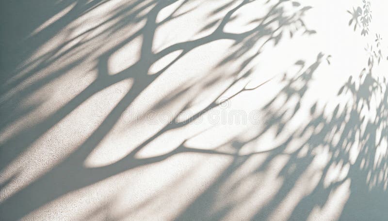 Abstract Aesthetic Shadow on White Textured Wall. Elegant Shadow ...