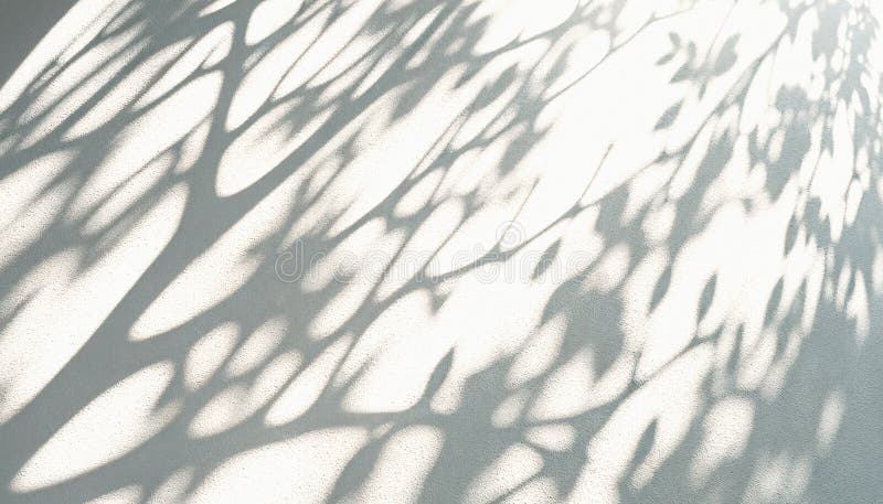 Abstract Aesthetic Shadow on White Textured Wall. Elegant Shadow ...