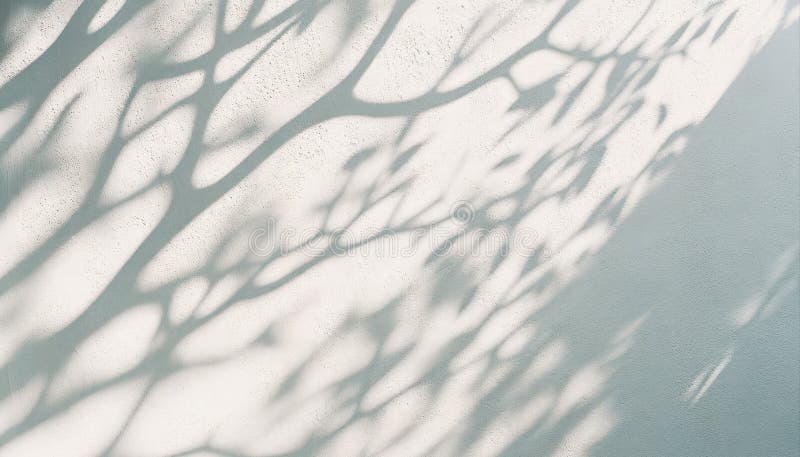 Abstract Aesthetic Shadow on White Textured Wall. Elegant Shadow ...
