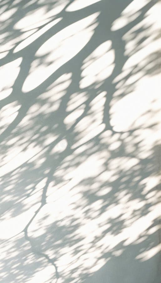 Abstract Aesthetic Shadow on White Textured Wall. Elegant Shadow ...