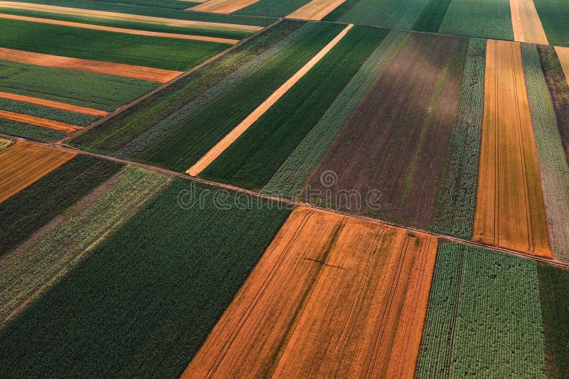 Abstract Agricultural Background Stock Image - Image of aerial, plant ...