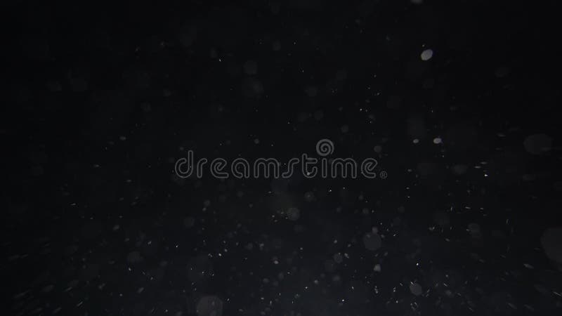 Abstract Air Bubbles and Dust Motion in the Water Isolated on Black ...