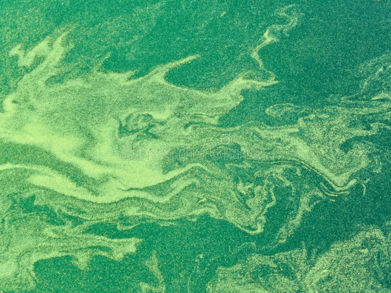 Abstract in algae stock image. Image of liquid, bubble - 132680523