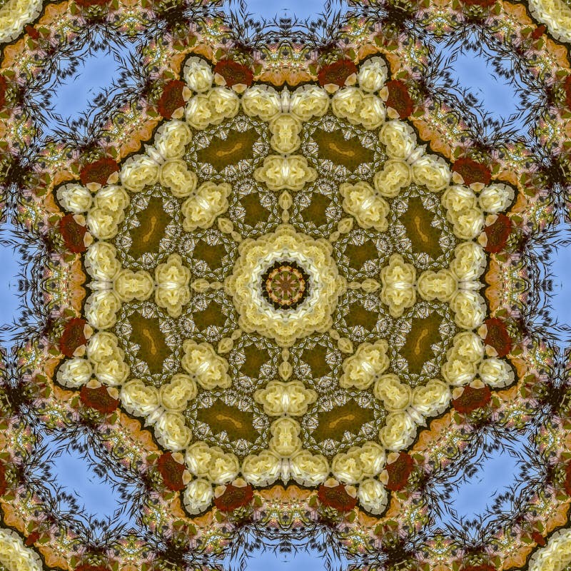 Abstract Angular Field of Flowers in Circular Arrangement at Wedding in ...