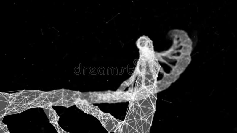 Abstract Animated Construction of a DNA Molecule from Particles. Motion ...