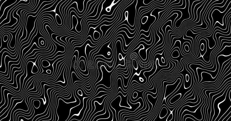 Abstract Animated Outline Topographic Contour Map Stock Video Video