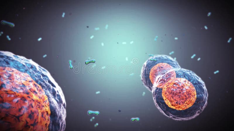 Abstract Animation of Bacteria in Microscopic View Stock Footage ...