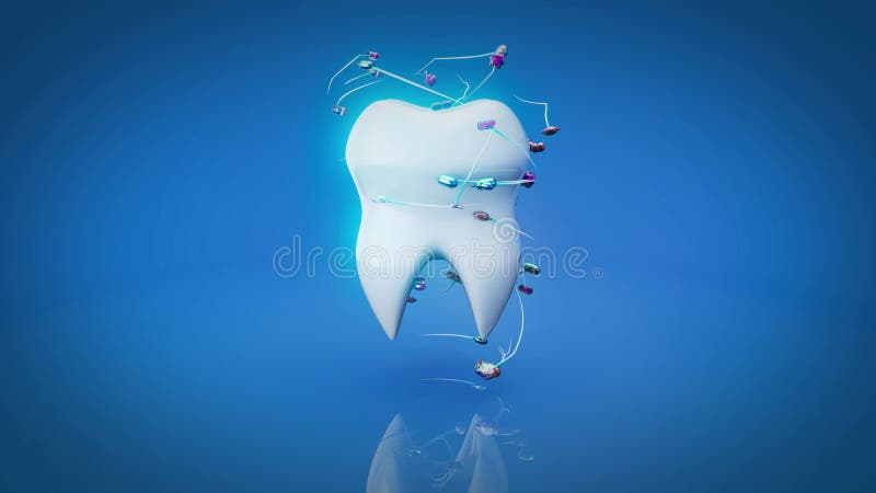 Animation of a tooth stock footage. Video of cavities - 310612378