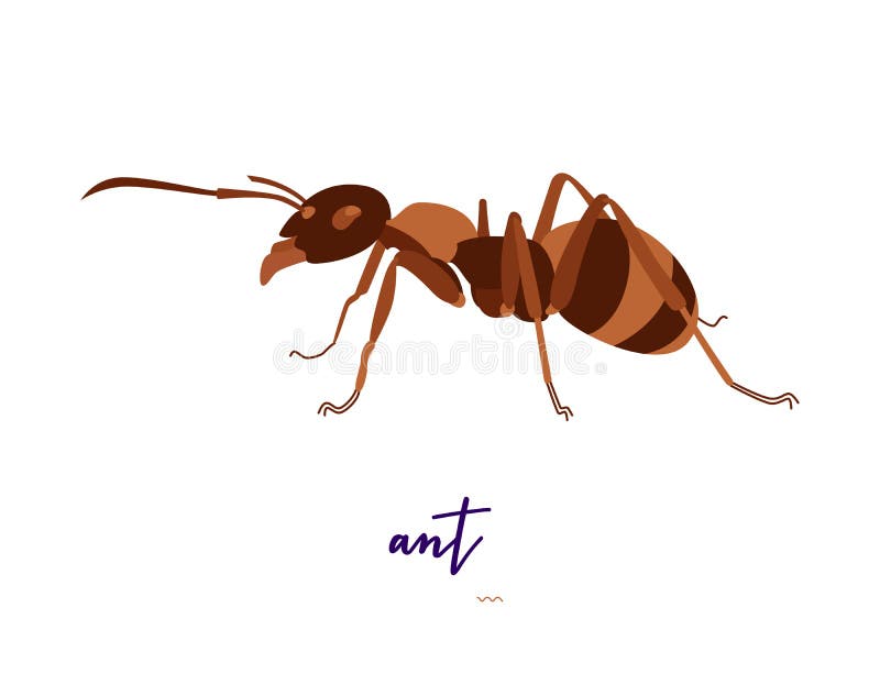 Polygonal Insects Stock Illustrations – 221 Polygonal Insects Stock ...