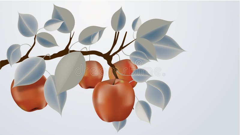 Red apple branch stock vector. Illustration of agriculture - 13210111