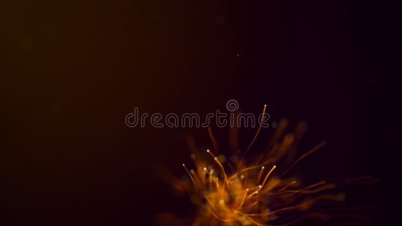 Abstract Aqua Orange Particle Background, Orange Floating Particles ... Abstract Aqua Orange Particle Background, Orange Floating Particles ...