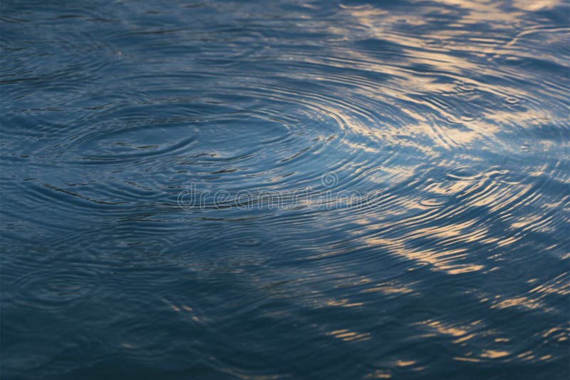 Focus Captures Stock Illustrations – 15,730 Focus Captures Stock ...