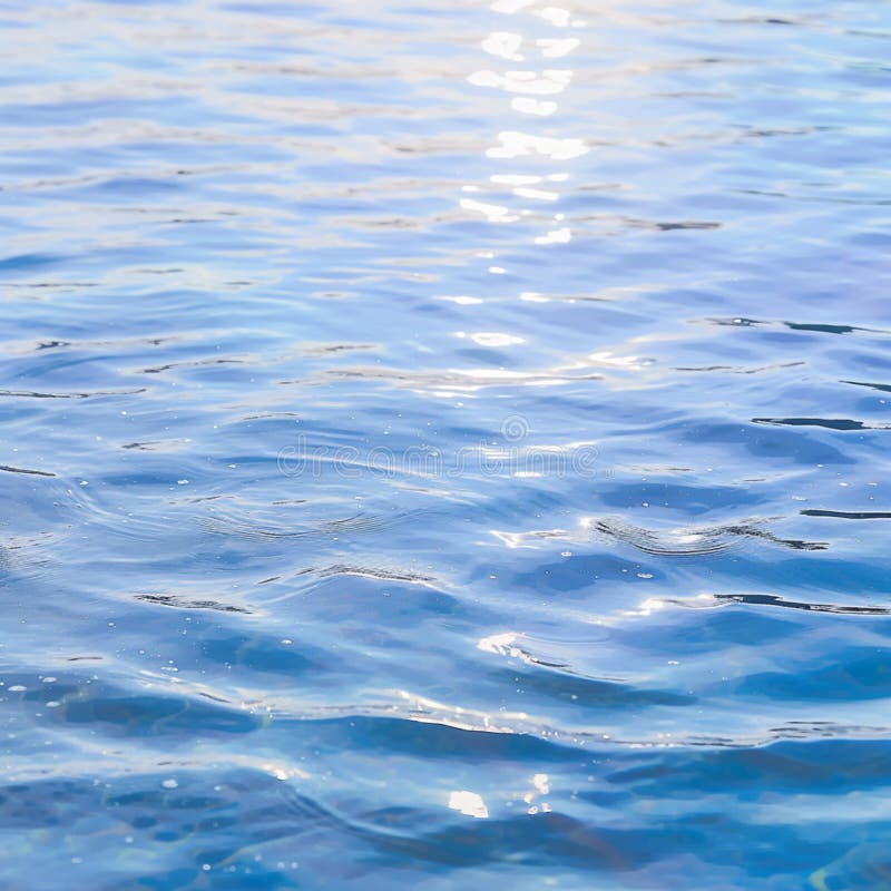 Abstract Aquatic Beauty, Subtle Ripples, Selective Focus Captures ...