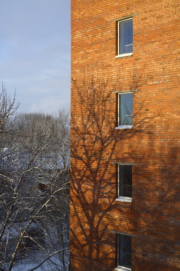 An Abstract Architecture Composition Featuring a Shadowed Tree on a ...