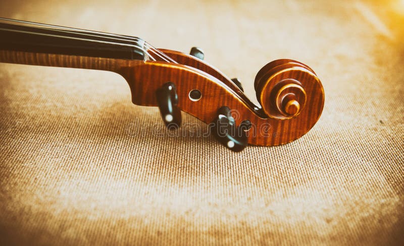Scroll and Pegbox of Violin Stock Photo - Image of note, instrument ...