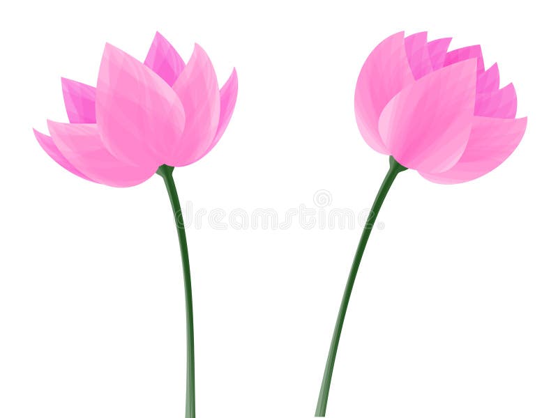 Abstract art lotus flower stock illustration. Illustration of spring ...