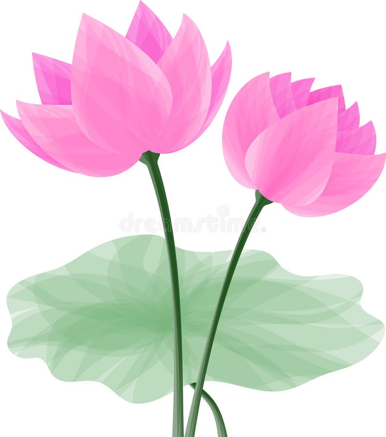 Abstract art lotus flower stock illustration. Illustration of foliage ...