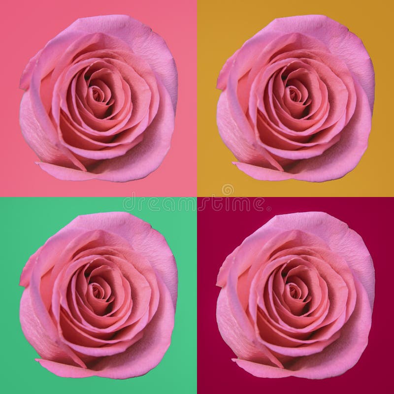 Abstract Art Pink Rose Background Pattern Stock Image - Image of ...