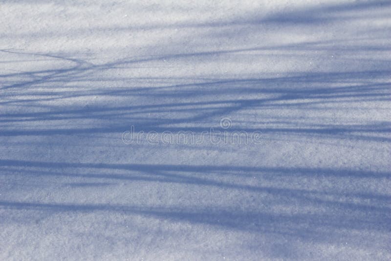 Abstract Art Texture Background of a Snow Covered Ground with a Tree ...