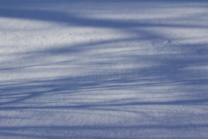 Abstract Art Texture Background of a Snow Covered Ground with a Tree ...