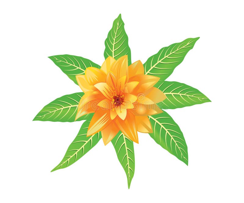 Flower Mango Stock Illustrations – 3,849 Flower Mango Stock ...