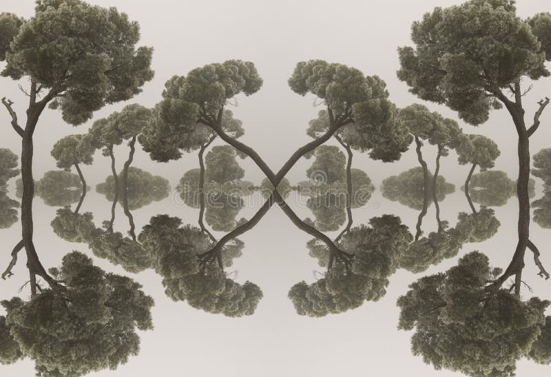 Abstract Artsy Background of Trees Mirrored Opposite Each Other Stock ...