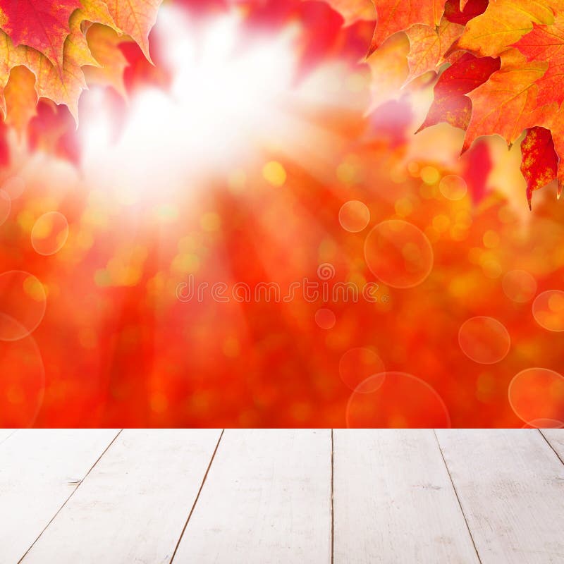 Abstract Autumn Background, Evening Light Stock Image - Image of ...