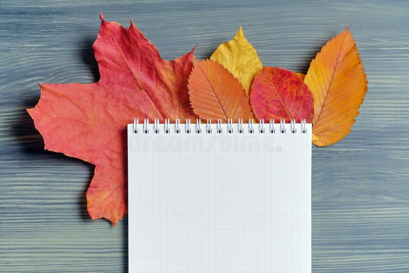 Abstract Autumn Concept of Dried Leaves with a Notebook for Copy Space ...