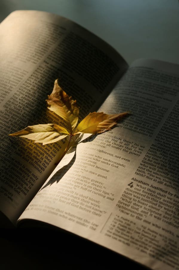 Autumn Dry Leaf on Open Bible and Sunrays Stock Image - Image of ...