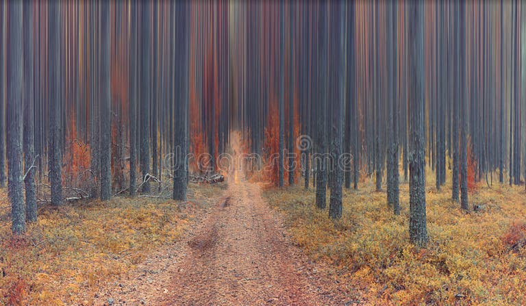 203,608 Autumn Forest Abstract Stock Photos - Free & Royalty-Free Stock ...