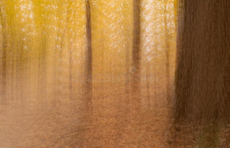 Abstract Autumn Multi Exposure Background with Soft Focus Stock Image ...